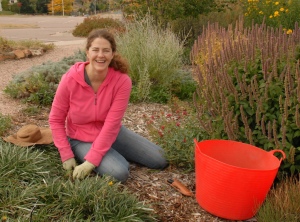 About | Colorado Yard Care